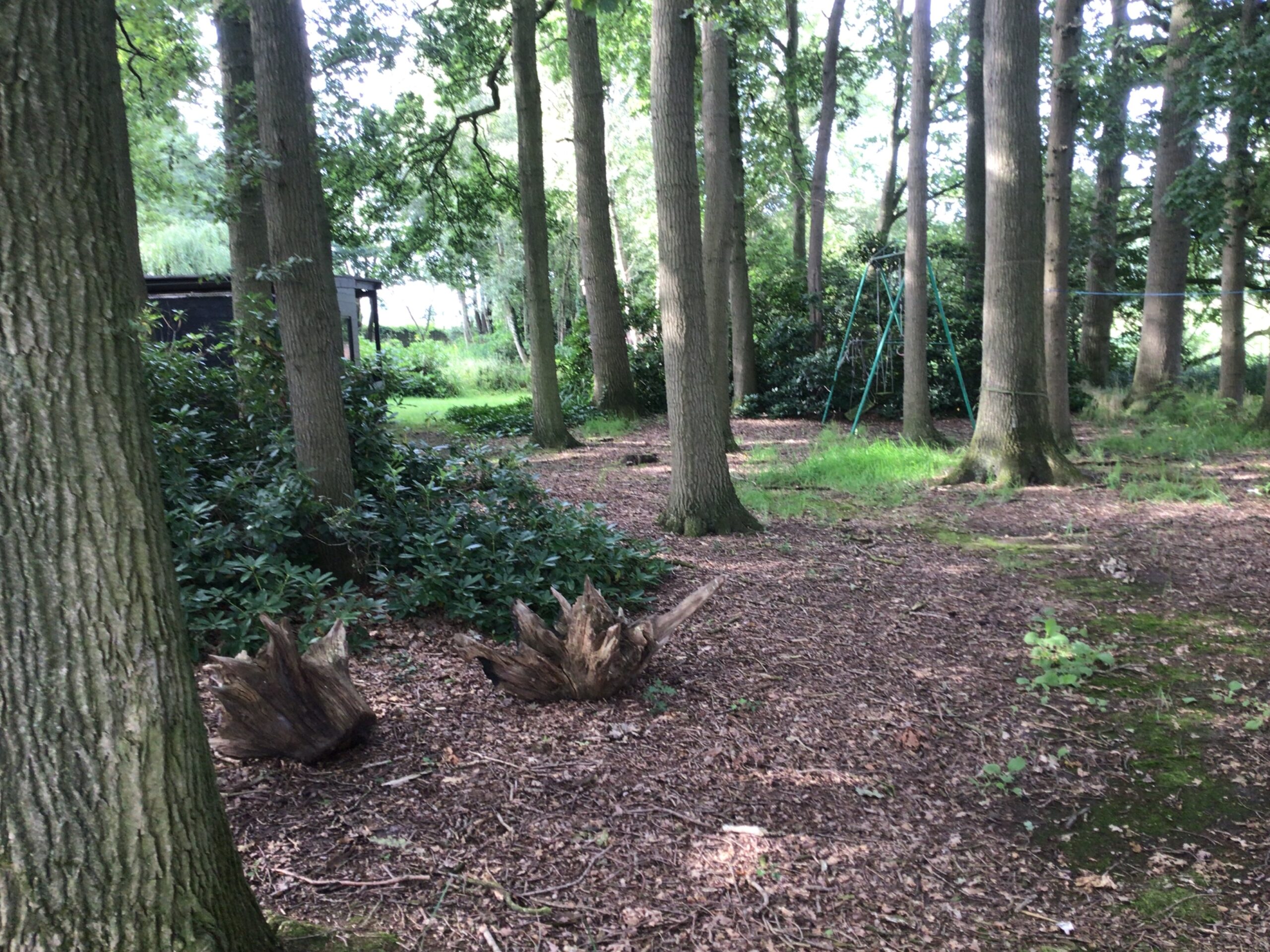 Producten – bosverkoop